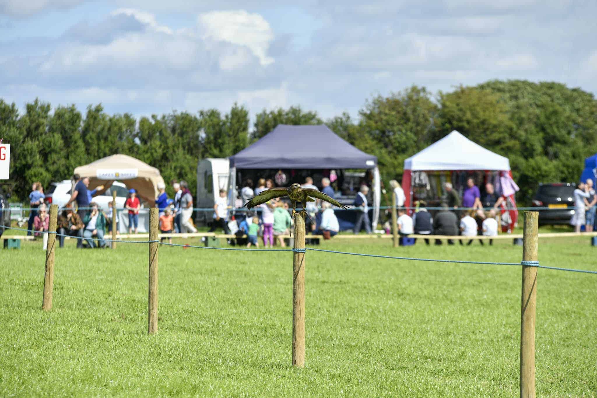 Home Nevern Show | Agricultural & Horticultural Show | Farming
