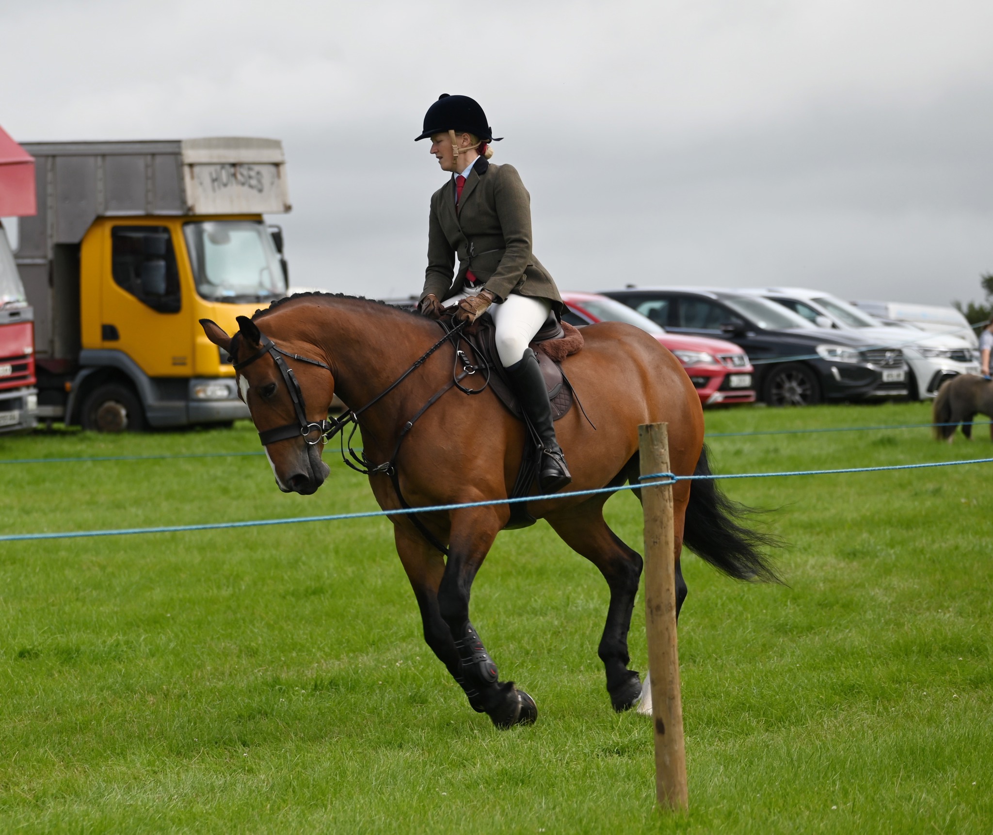 Home | Nevern Show | Agricultural & Horticultural Show | Farming