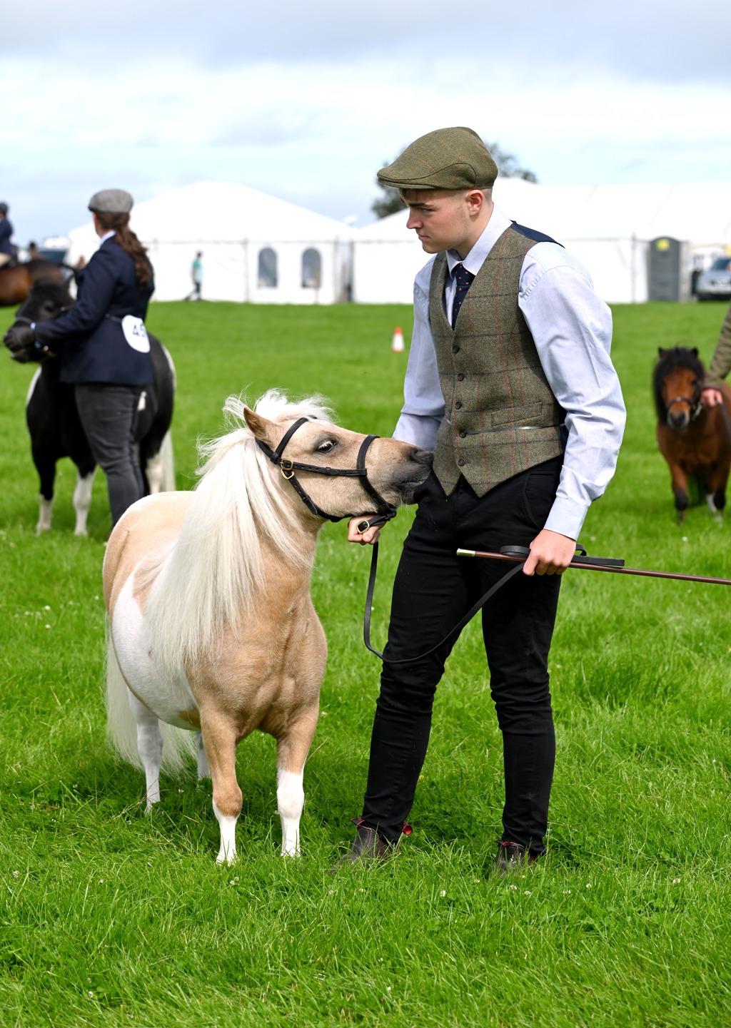 Home | Nevern Show | Agricultural & Horticultural Show | Farming