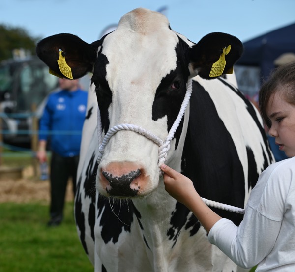 Competitor Entry | Nevern Show | Livestock, Equine, Agricultural ...