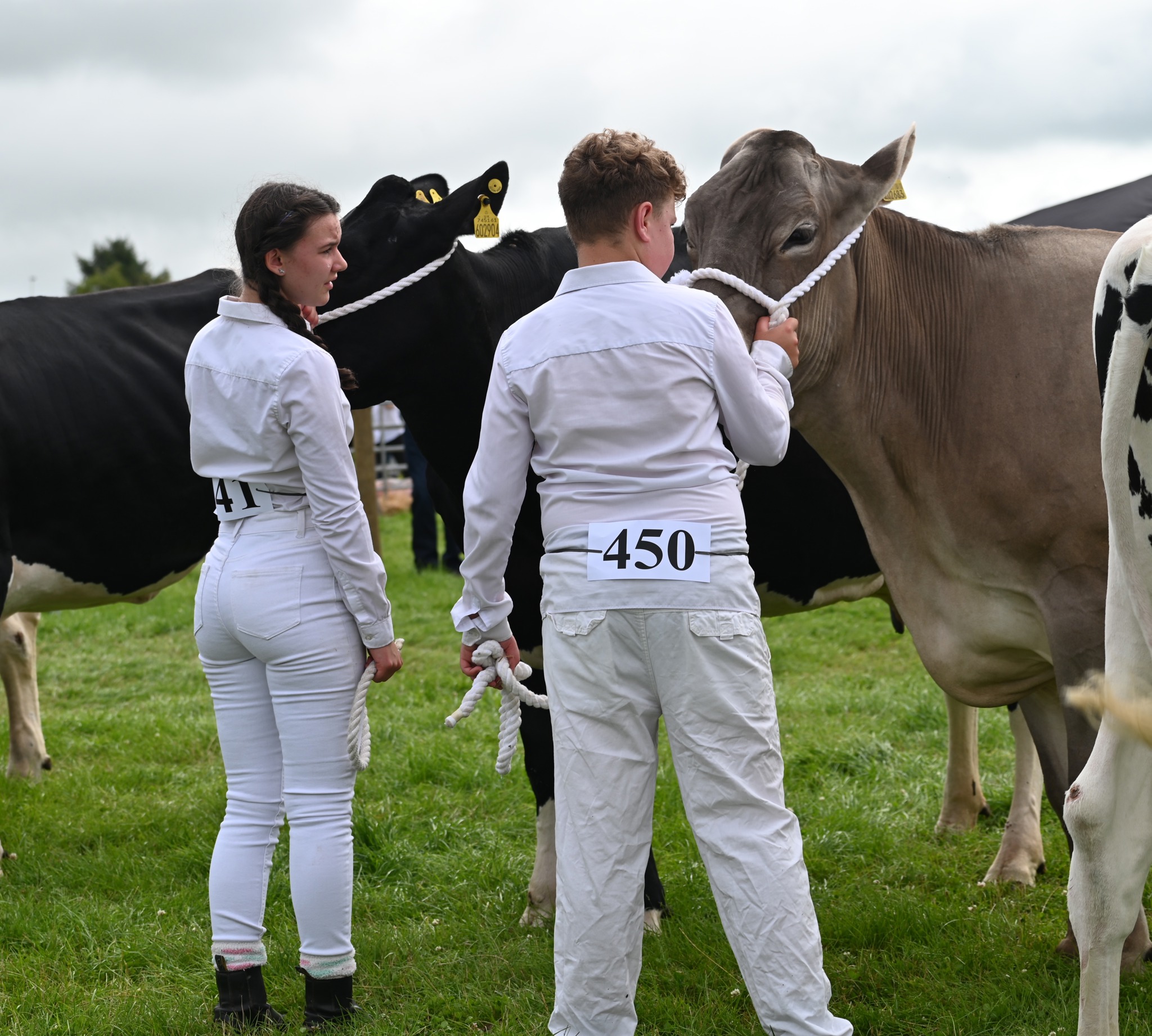Home | Nevern Show | Agricultural & Horticultural Show | Farming